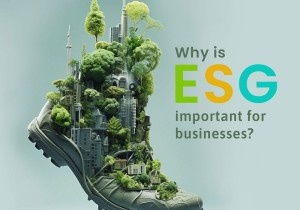 Why is ESG important for companies in Malaysia? How can a business ...